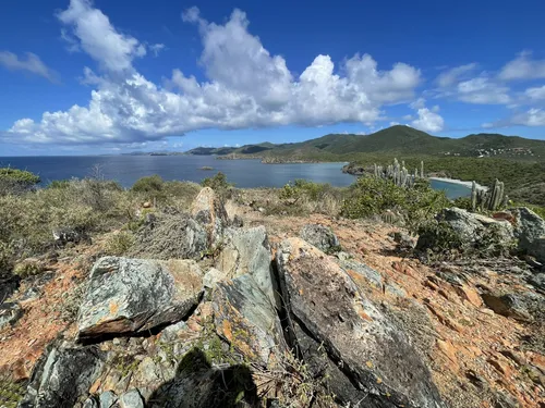 10 Best Hikes and Trails in Virgin Islands National Park | AllTrails