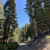 Mount Watson Peak Road, California - 130 Reviews, Map | AllTrails