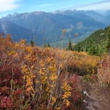 Flora Peak, British Columbia, Canada - 445 Reviews, Map | AllTrails