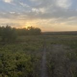 Wascana Trail Loop , Saskatchewan, Canada - 230 Reviews, Map | AllTrails