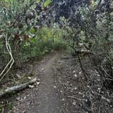 Spring Creek Nature Area Trail, Texas - 972 Reviews, Map | AllTrails