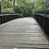 Spring Creek Nature Area Trail, Texas - 1,207 Reviews, Map | AllTrails