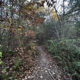 Spring Creek Nature Area Trail, Texas - 972 Reviews, Map | AllTrails