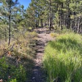 Stratobowl Rim Trail, South Dakota - 881 Reviews, Map | AllTrails