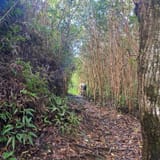 Moanalua Valley and Tripler Ridge Trail Loop, Oahu, Hawaii - 191 ...