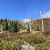 Loowit Loop, Washington - 363 Reviews, Map | AllTrails