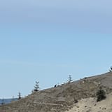 Loowit Loop, Washington - 346 Reviews, Map | AllTrails