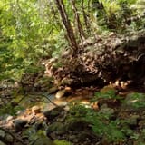 See Spring Trail, Arizona - 641 Reviews, Map | AllTrails
