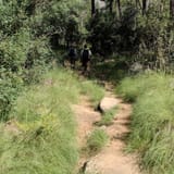 See Spring Trail, Arizona - 641 Reviews, Map | AllTrails