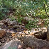 See Spring Trail, Arizona - 641 Reviews, Map | AllTrails