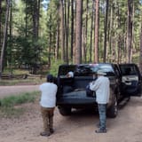 See Spring Trail, Arizona - 641 Reviews, Map | AllTrails