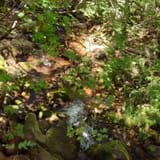 See Spring Trail, Arizona - 668 Reviews, Map | AllTrails