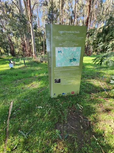 Best Hikes and Trails in Morwell National Park | AllTrails