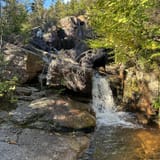 Zealand Bonds Traverse, New Hampshire - 692 Reviews, Map | AllTrails