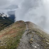 Slaughter Ridge Trail, Alaska - 825 Reviews, Map | AllTrails