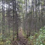 Slaughter Ridge Trail, Alaska - 825 Reviews, Map | AllTrails