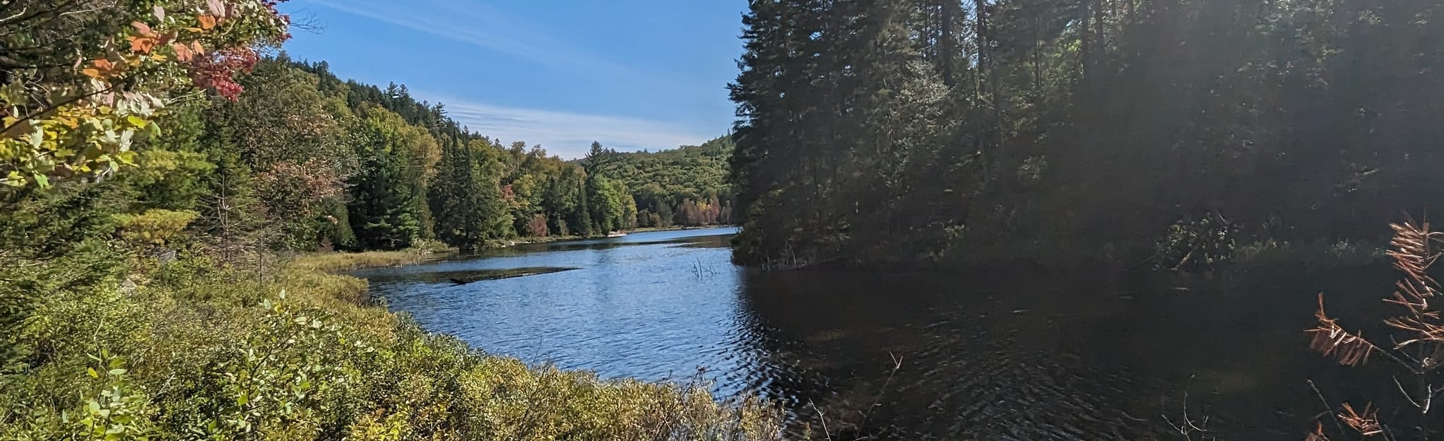 Boucle Mont Caribou via sentiers du Cap 360 et Mont Gorille : 564 ...