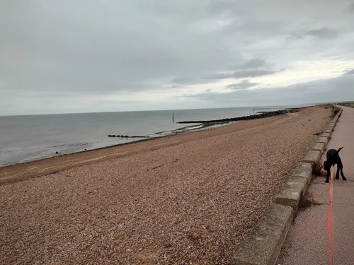 Best Hikes and Trails in Reculver Country Park | AllTrails