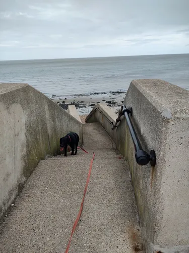 Best Hikes and Trails in Reculver Country Park | AllTrails
