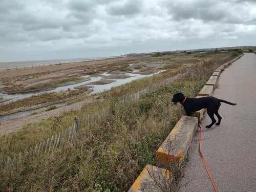 Best Hikes and Trails in Reculver Country Park | AllTrails