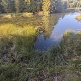 Cyprus Lake Trail, Ontario, Canada - 314 Reviews, Map | AllTrails