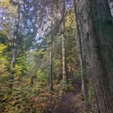 Cyprus Lake Trail, Ontario, Canada - 314 Reviews, Map | AllTrails