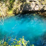 Round Spring Trail, Missouri - 96 Reviews, Map | AllTrails