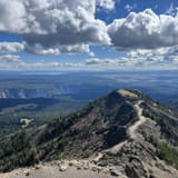 Dunraven Pass to Mount Washburn, Montana - 1,470 Reviews, Map | AllTrails