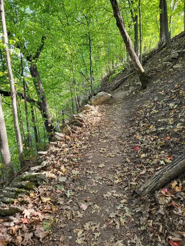 2023 Best 10 Trails and Hikes in Decorah | AllTrails