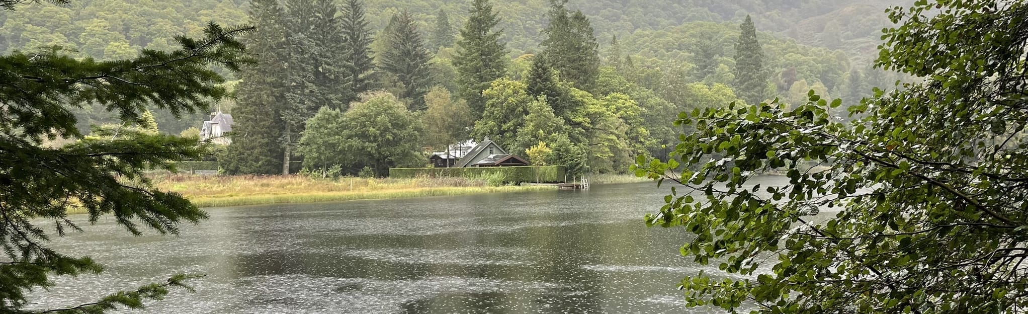Loch Ard Lower Loop, Stirling, Scotland - 18 Reviews, Map | AllTrails