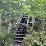 Flowerpot Island Loop Trail, Ontario, Canada - 534 Reviews, Map | AllTrails