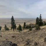 Kamiak Butte Trail, Washington - 766 Reviews, Map | AllTrails