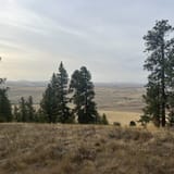 Kamiak Butte Trail, Washington - 766 Reviews, Map | AllTrails