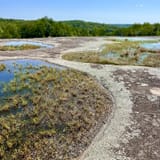 Forty Acre Rock Trail, South Carolina - 515 Reviews, Map | AllTrails