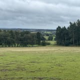 Kinver Edge, Worcestershire, England - 68 Reviews, Map | AllTrails