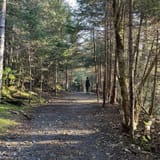 Tonsina Creek Trail, Alaska - 1,319 Reviews, Map | AllTrails