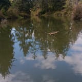 Friend's Landing Trail, Washington - 153 Reviews, Map | AllTrails