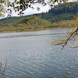 Friend's Landing Trail, Washington - 153 Reviews, Map | AllTrails