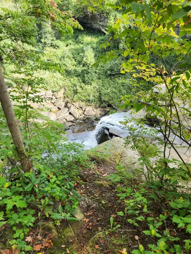 2023 Best 10 Trails and Hikes in Stow | AllTrails