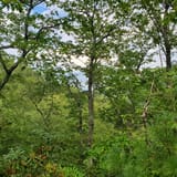 Chestnut Ridge Overlook Loop, Virginia - 259 Reviews, Map | AllTrails