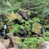 Watson Falls, Oregon - 1,020 Reviews, Map | AllTrails