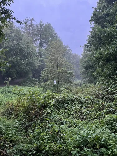 Best Hikes and Trails in Primrose Valley Park | AllTrails