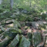 Devil's Path to the Jimmy Dolan Notch Overlook and Twin Mountain Summit ...