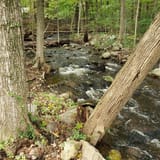 Cascade Falls Loop Trail, Massachusetts - 771 Reviews, Map | AllTrails