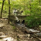 Cascade Falls Loop Trail, Massachusetts - 771 Reviews, Map | AllTrails