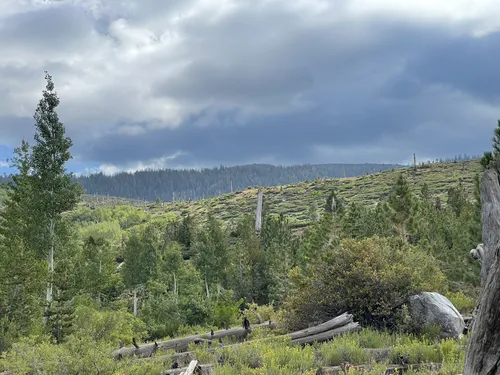 Best Hikes and Trails in Devils Postpile National Monument | AllTrails