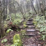 Glastenbury Mountain via Long Trail (Appalachian Trail) , Vermont - 143 ...