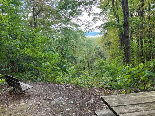 Best Hikes and Trails in Fort Dummer State Park | AllTrails