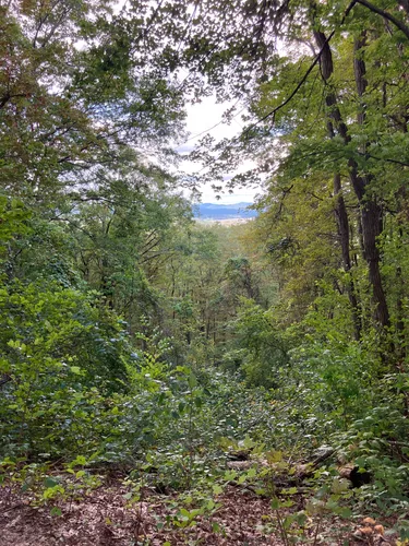 Best Hikes and Trails in Fort Dummer State Park | AllTrails