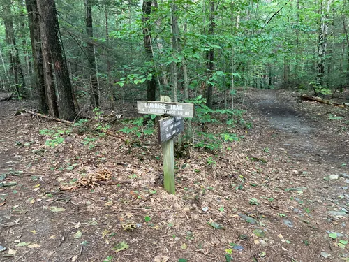 Best Hikes and Trails in Fort Dummer State Park | AllTrails